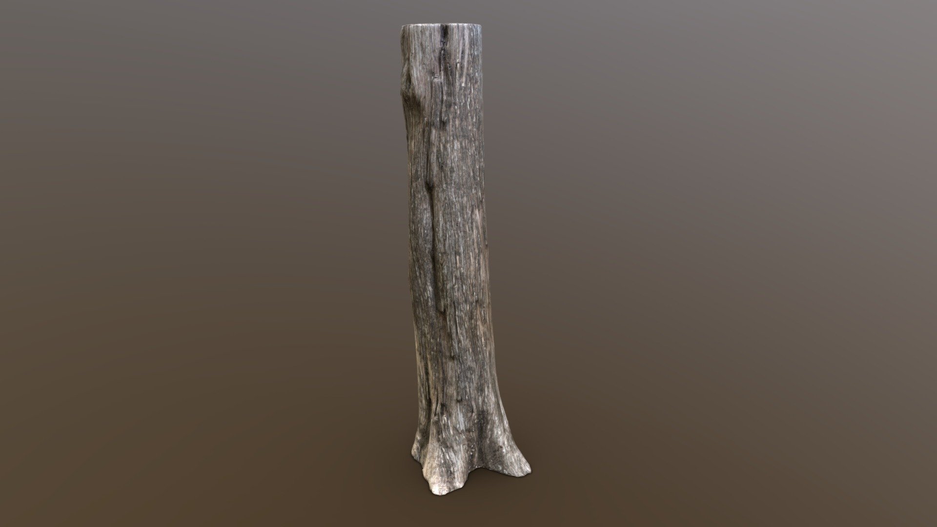 Eastern Red Cedar - Retopologized - Download Free 3D model by ...