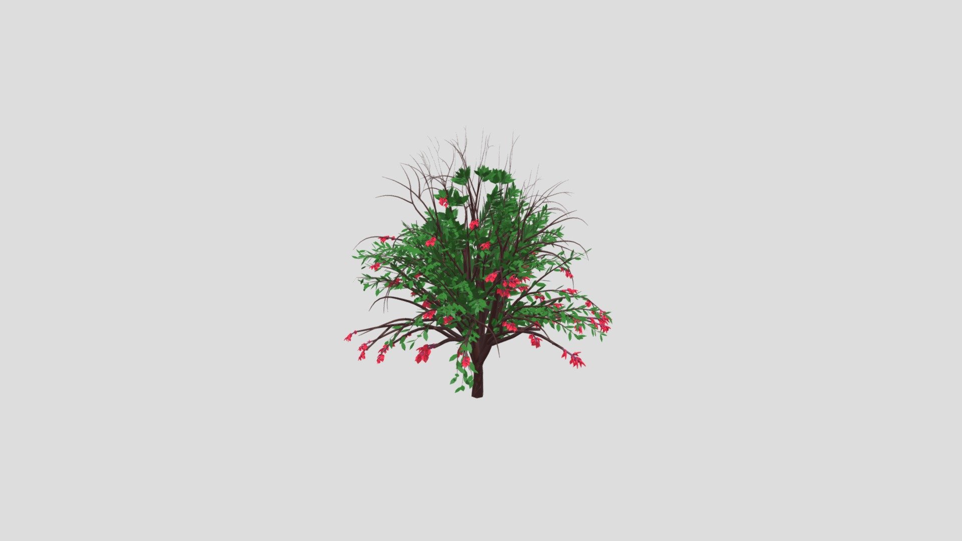 Ceibo - Download Free 3D model by dinda.artist [1770e3c] - Sketchfab