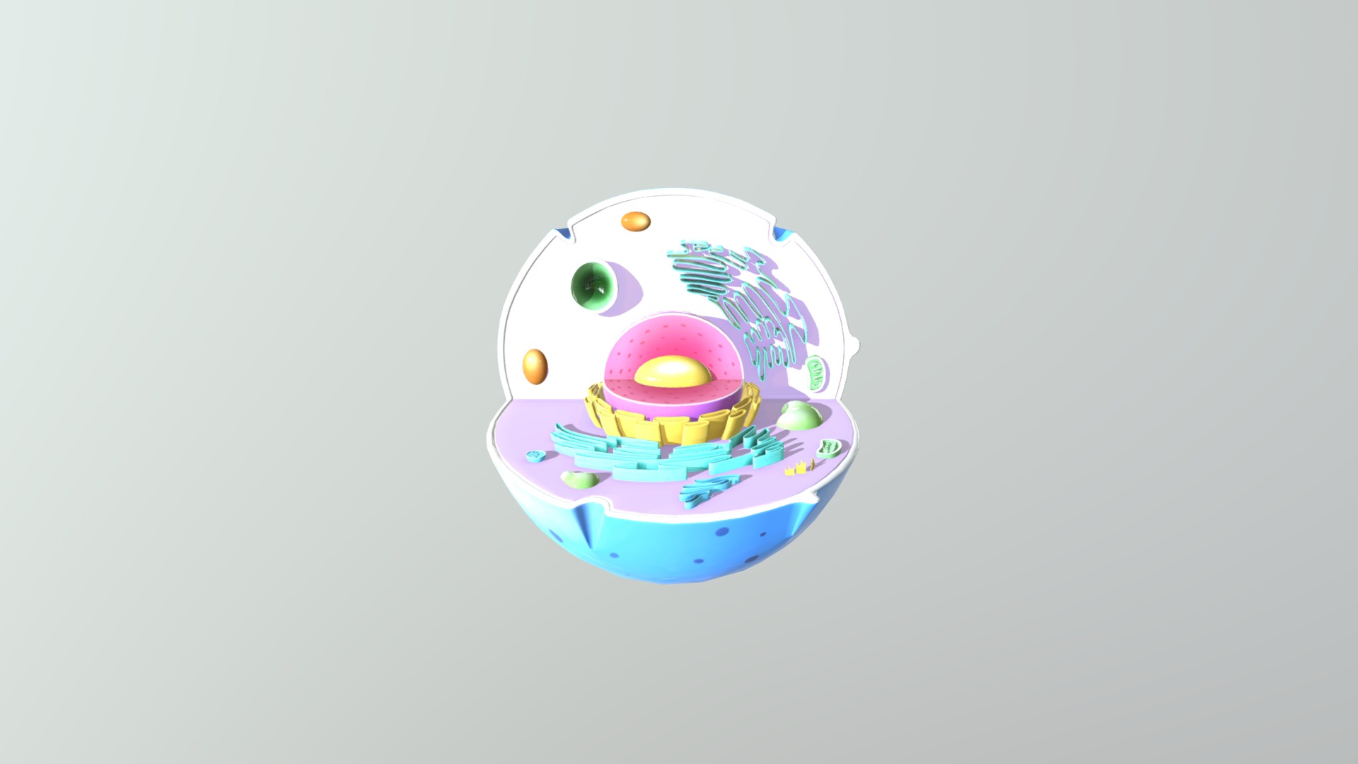 Cell - Download Free 3D model by t.sullivan [177288c] - Sketchfab