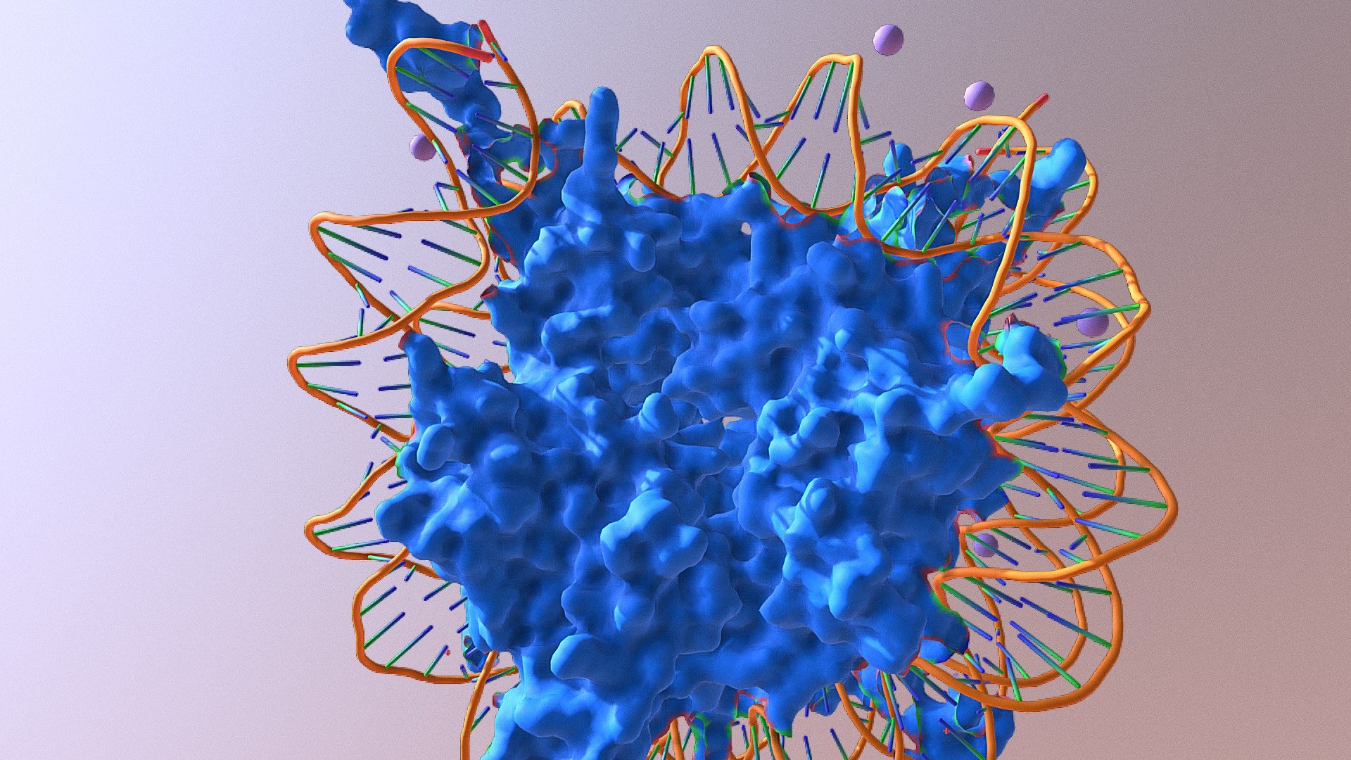 Nucleosome Core Particle - 3D model by Dominic (@dwaithe) [1773a32 ...