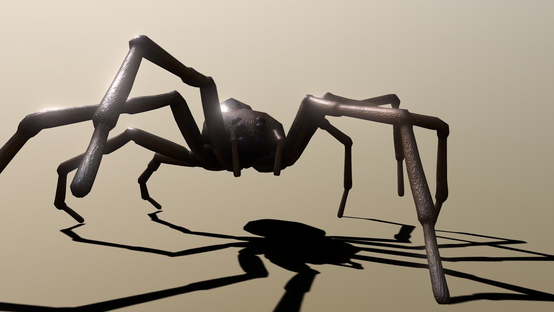 Wolf Spider - 3D model by ArachnoBoy (@vang807) [1773d64] - Sketchfab