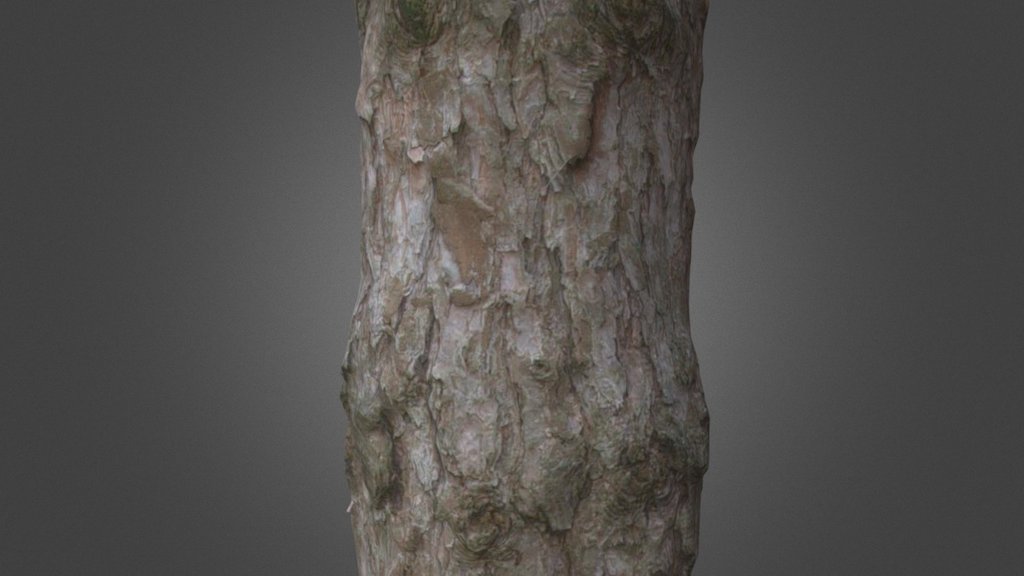 Arbre 01 - 3D model by laei [1773db7] - Sketchfab