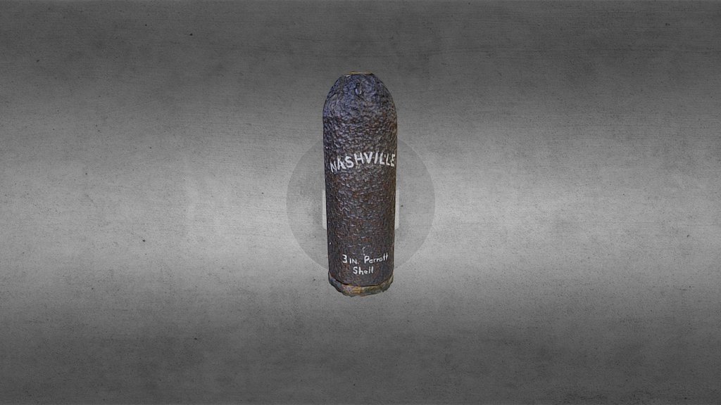 Parrot_Shell - 3D model by gpaschafab [1774162] - Sketchfab