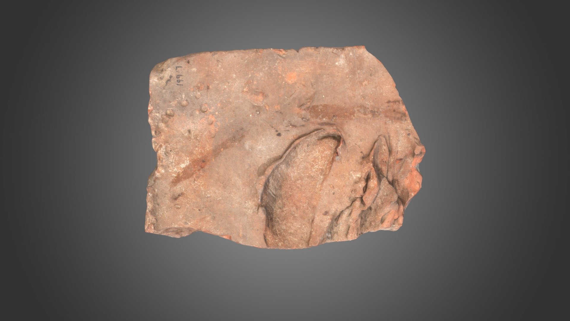 Tile with footprint – ox - 3D model by English Heritage ...