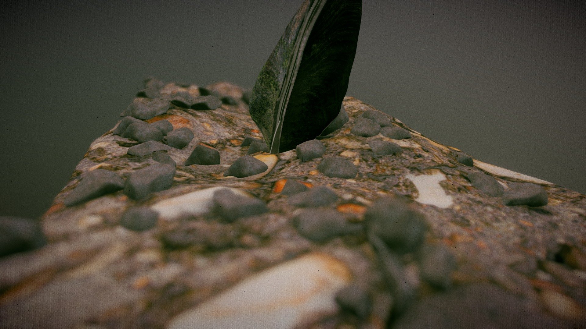Perlorodka - 3D model by strnad [1775866] - Sketchfab
