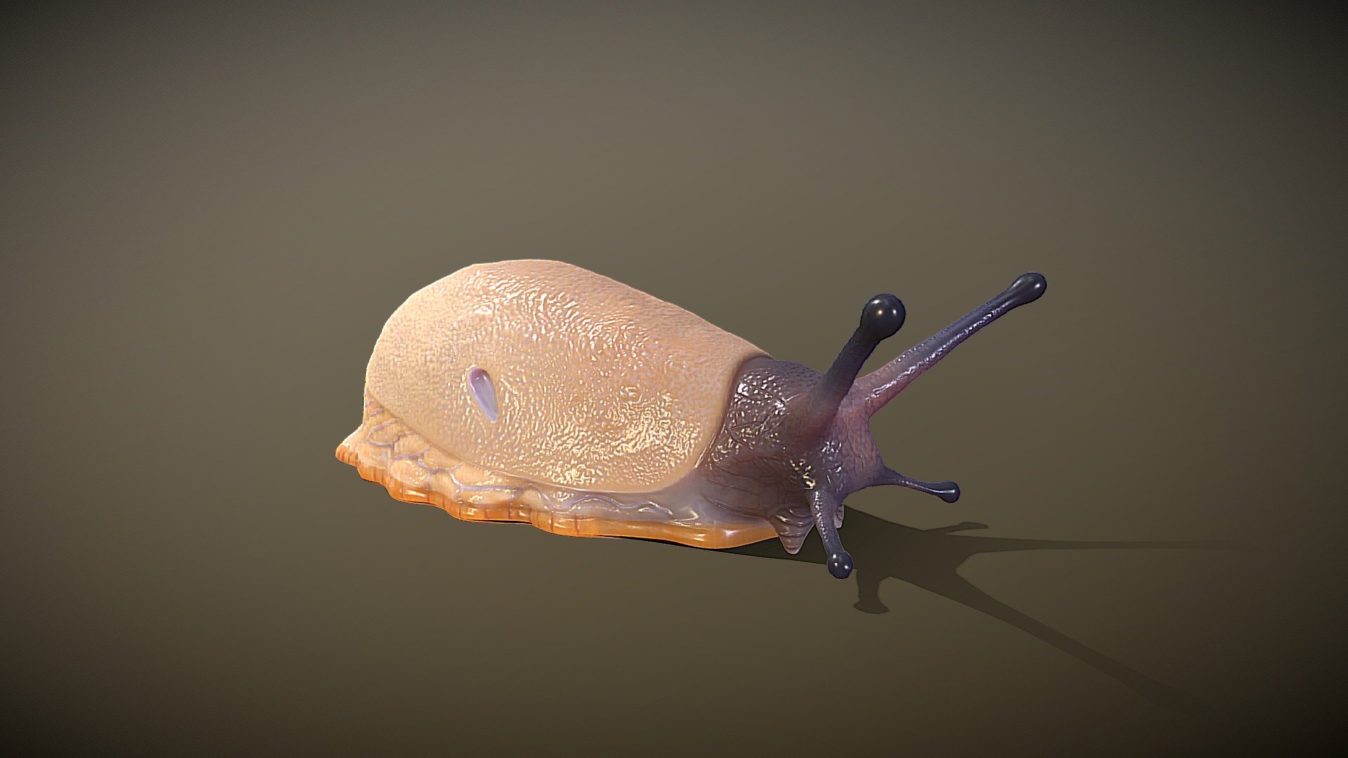 Arion Rufus - Download Free 3D model by Brandon Holt (@BrandonHolt ...