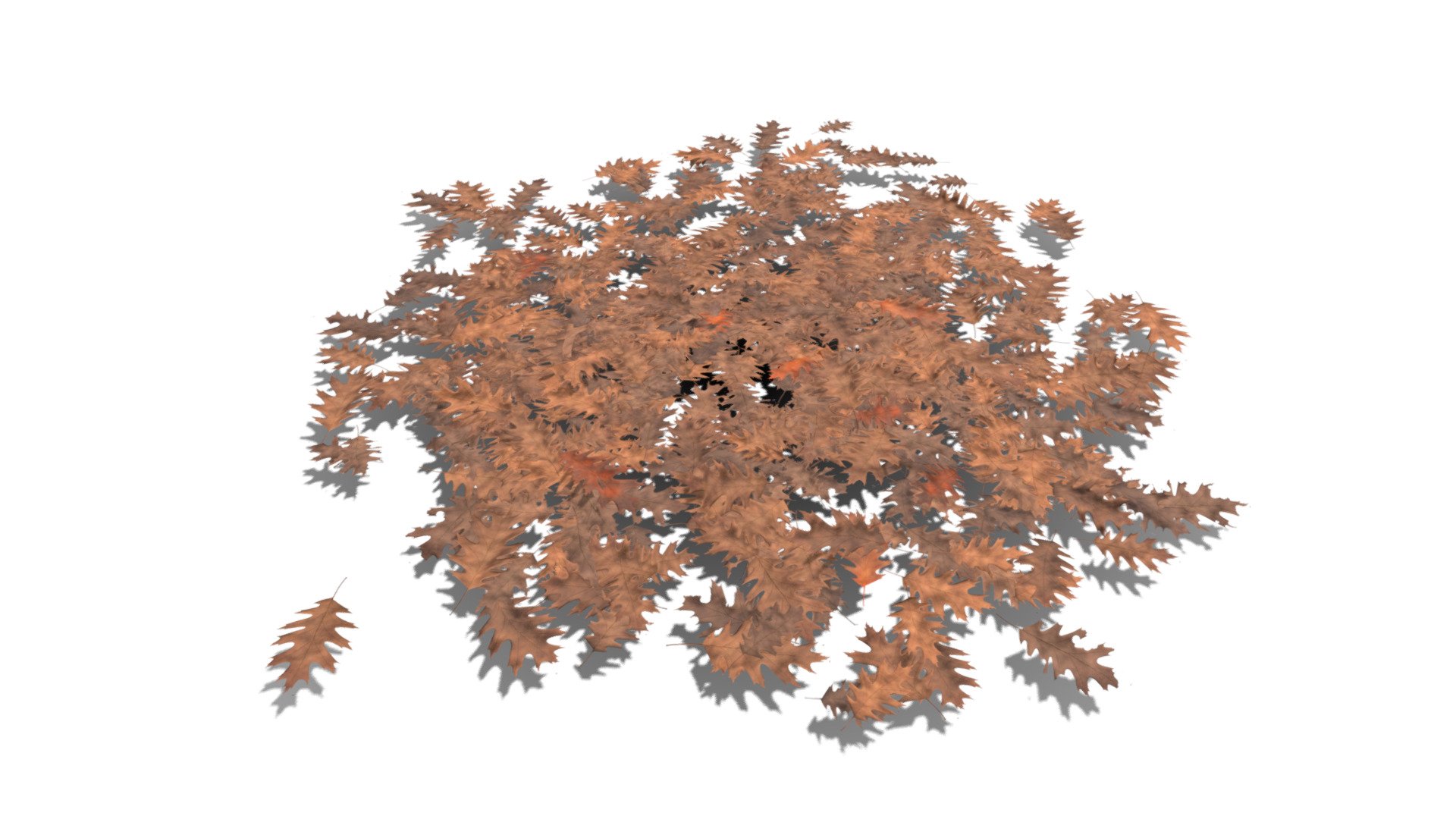 Realistic HD Red oak leaf litter (15/36) - Download Free 3D model by ...