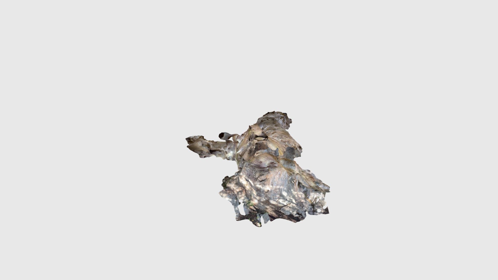 Grotta Fosca F115 - Download Free 3D model by simonebaglietto [177c33c ...