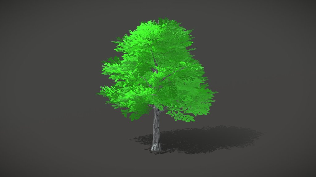 Trees - A 3D model collection by MsHirsch - Sketchfab