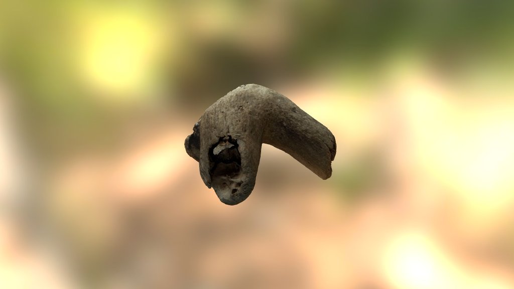 Alien's Skull 1 - 3D model by maria krivova (@mariakrivova) [1782c1f ...