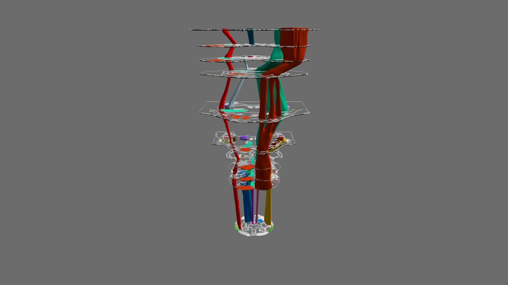 Neural pathways - A 3D model collection by aherrler - Sketchfab