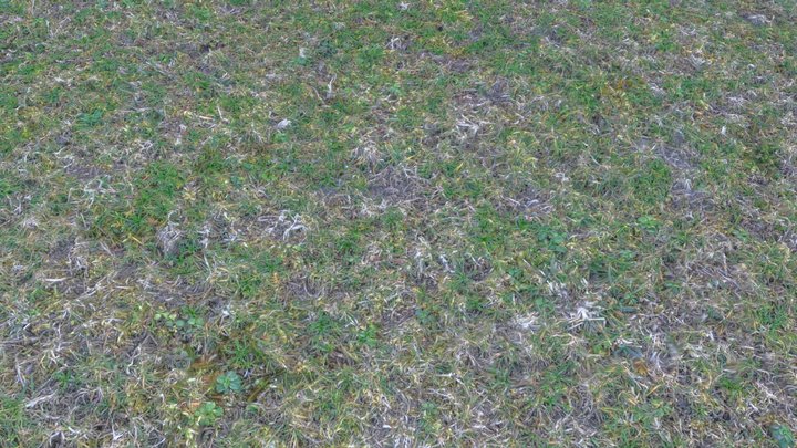Turf 3D models - Sketchfab