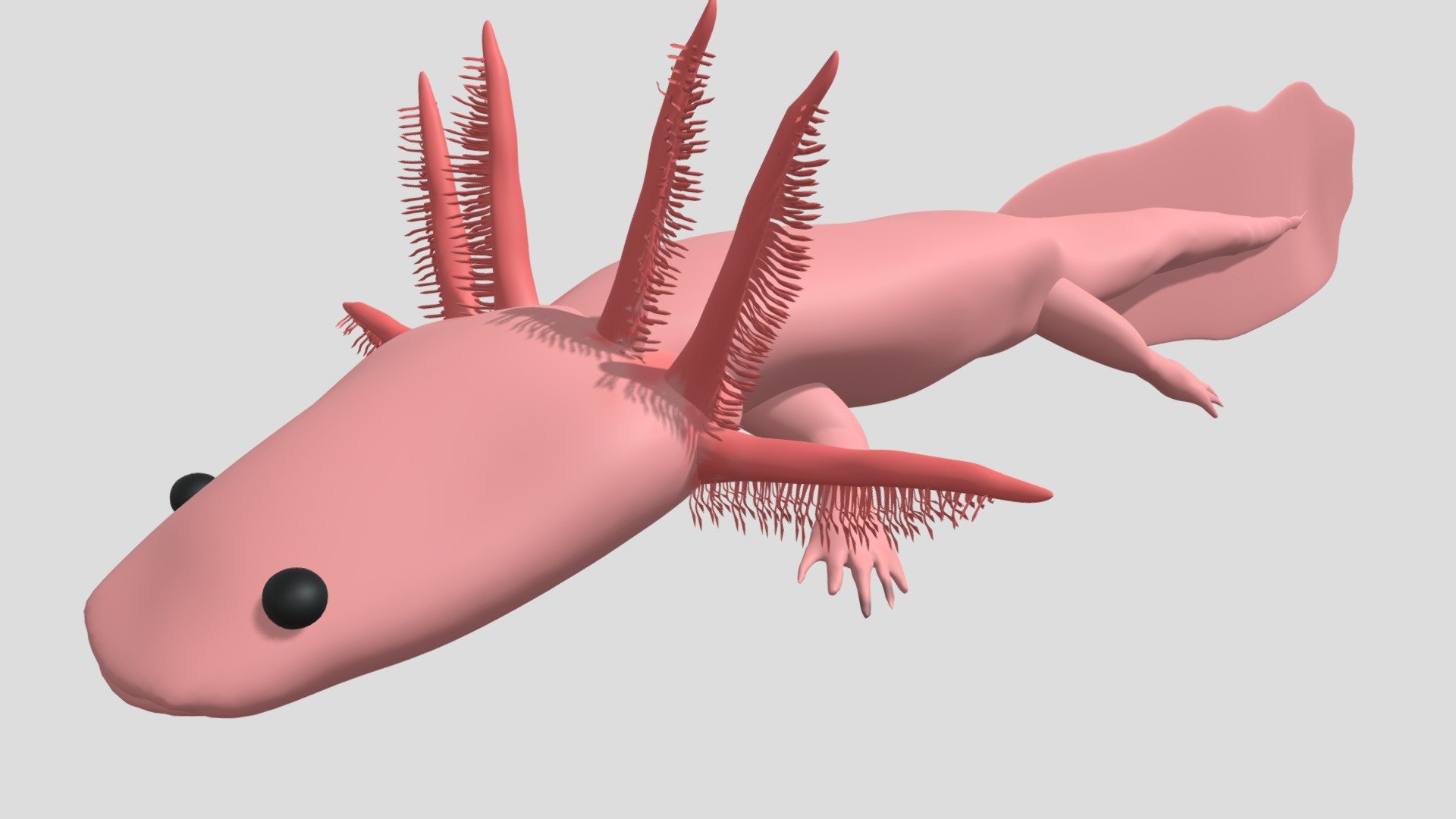 Axolotl - Download Free 3D model by Whalesgaming [1794ced] - Sketchfab