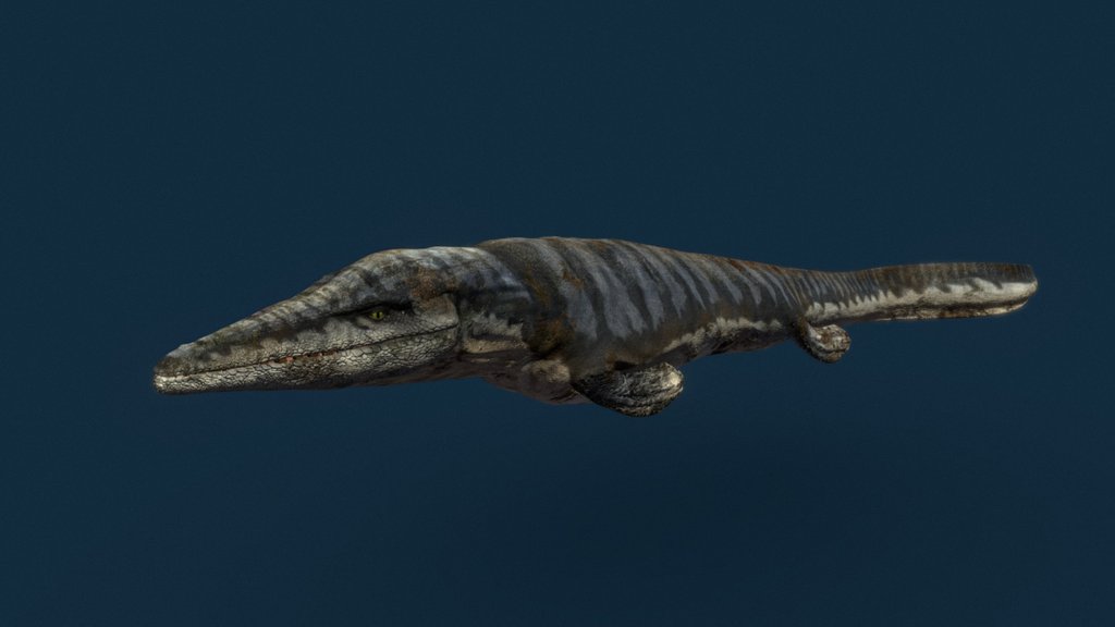 Mosasaur - A 3D model collection by imtiworkmail - Sketchfab