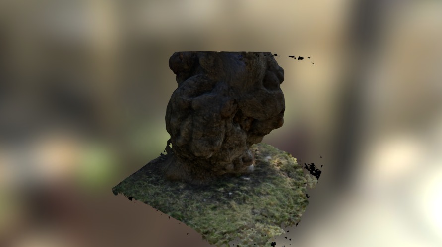 Tree trunk at 24th and San Jac (Scanner) - 3D model by radionavlab ...