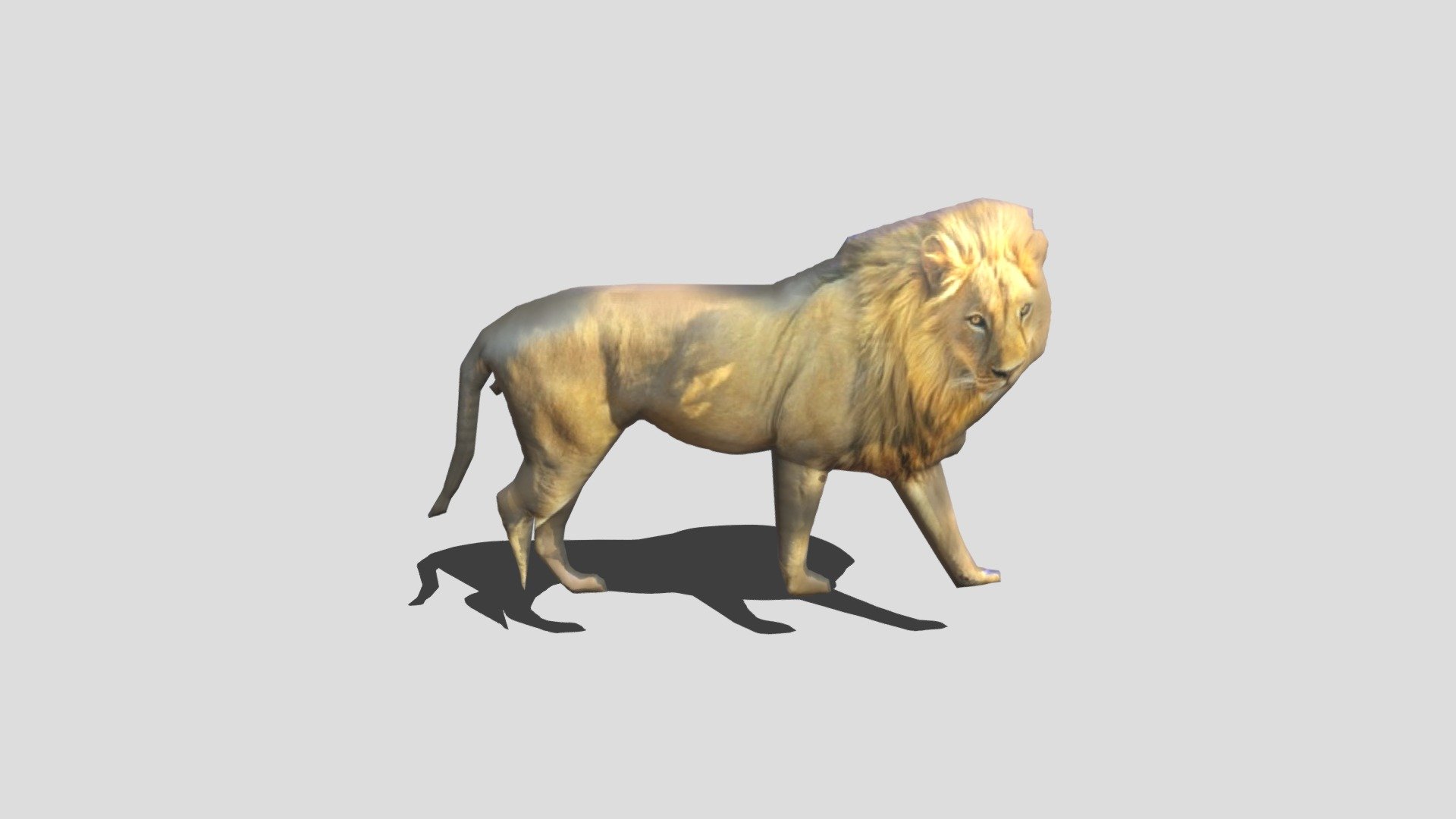 Singa_3D - 3D model by rachminursifayahya [17aa2f4] - Sketchfab