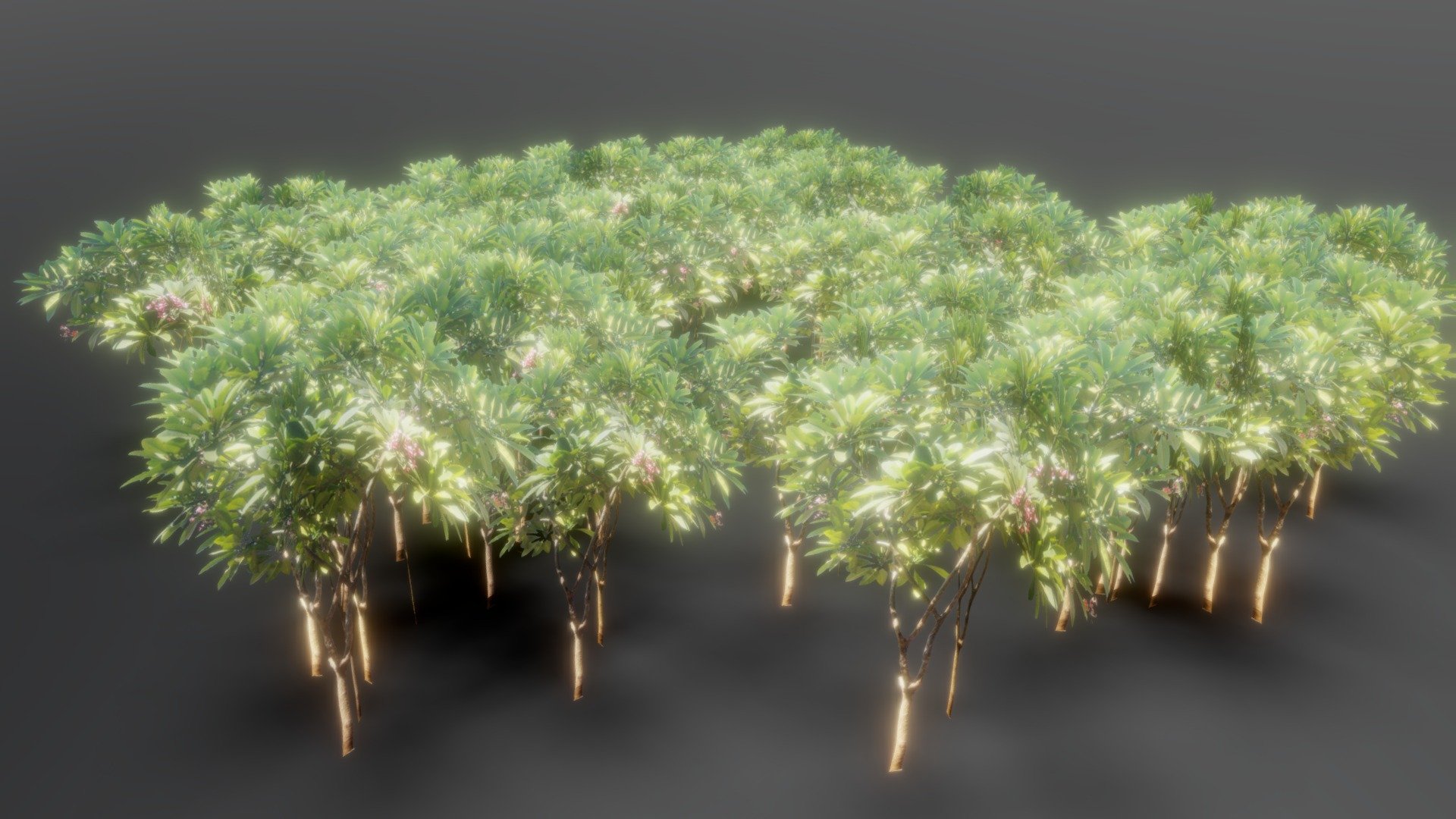 Tropical Plant - Download Free 3D model by Somersby [17aa908] - Sketchfab