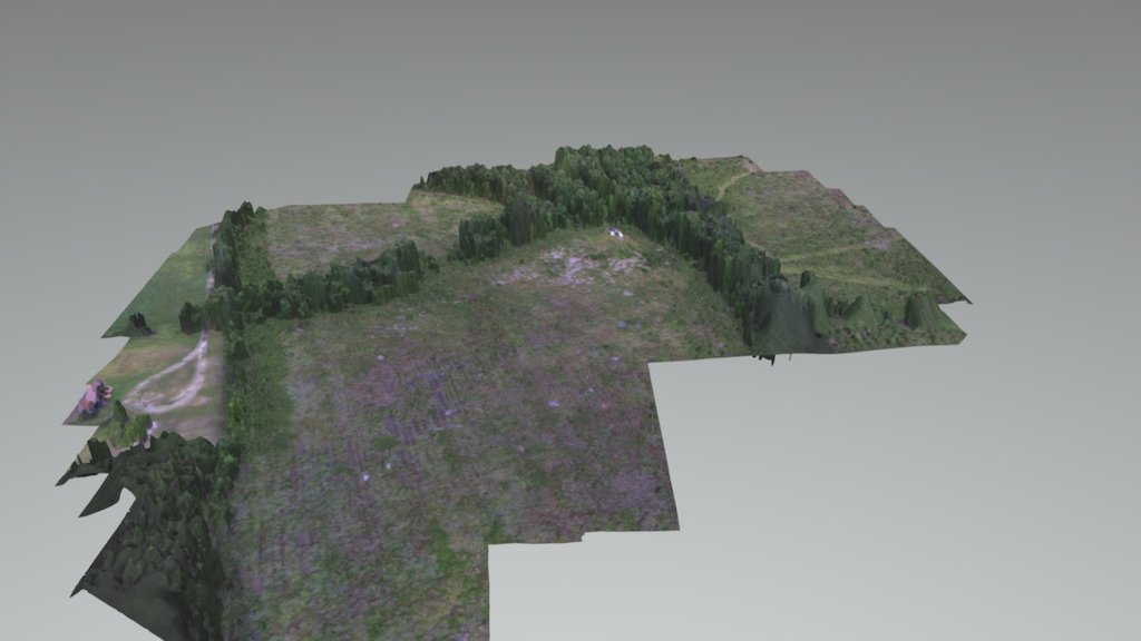 Stream Side Management Zone (SMZ) Audit - 3D model by WithersRavenel ...
