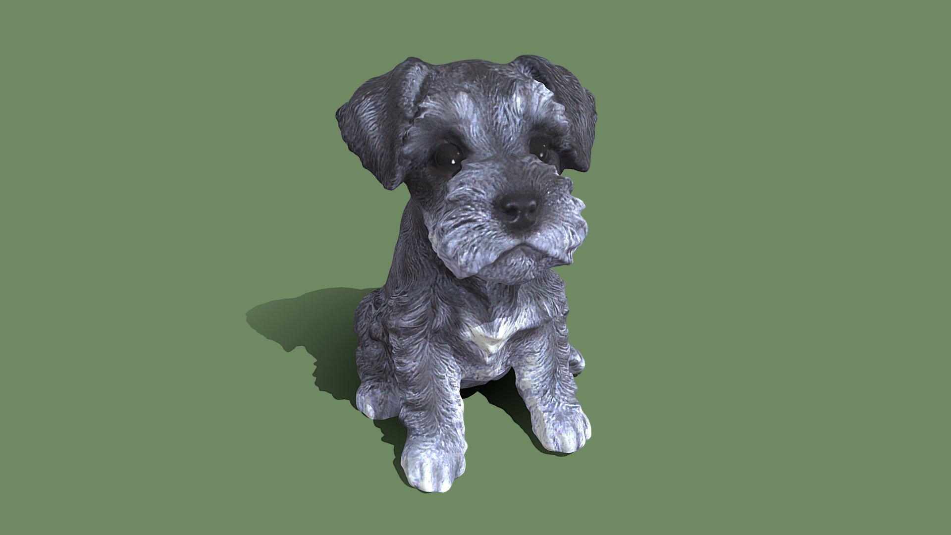 Micro Schnauzer puppy dog - 3D model by Lycortas [17ad202] - Sketchfab