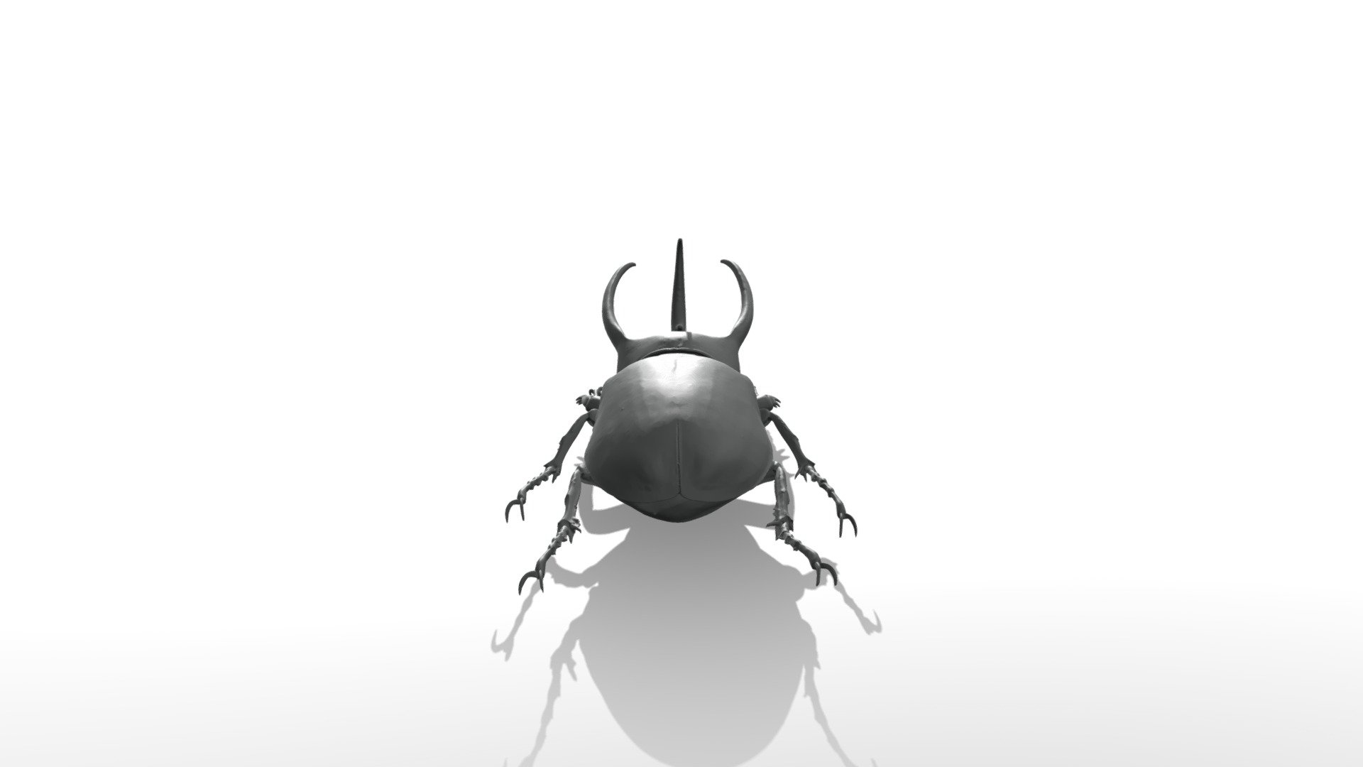 Chalcosoma caucasus - 3D model by haraseisakusyo (@yousuke1500 ...