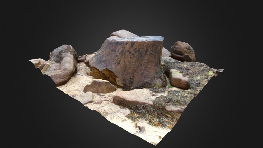 Fossil tree stump, Crail, Fife, UK - Download Free 3D model by Darren ...