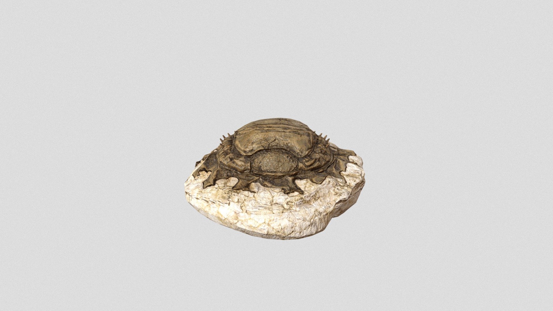 Low Eco - 3D model by Steban Goca (@stebangoca) [17bc848] - Sketchfab