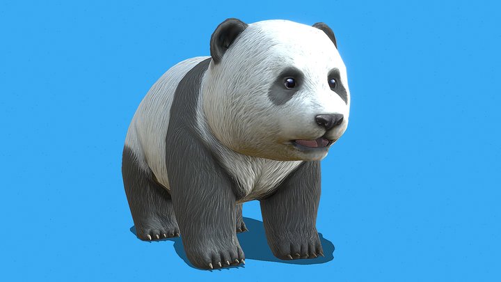 Panda 3D models - Sketchfab