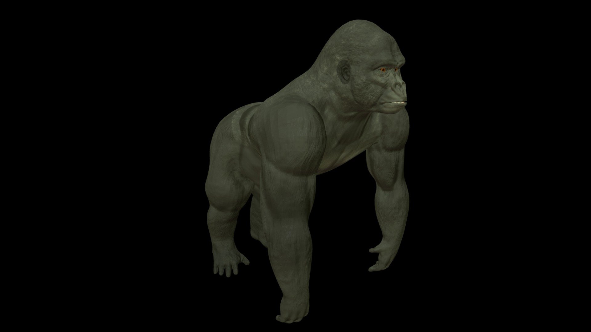 SilverBack Gorilla - 3D model by mafflez [17bdc32] - Sketchfab