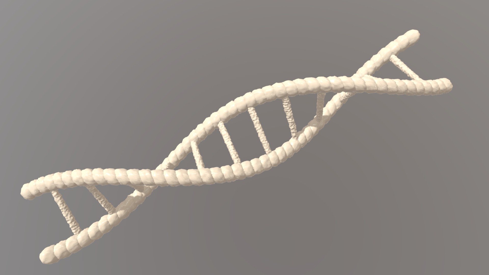 Professional realistic DNA Fragment 3D model - Download Free 3D model ...
