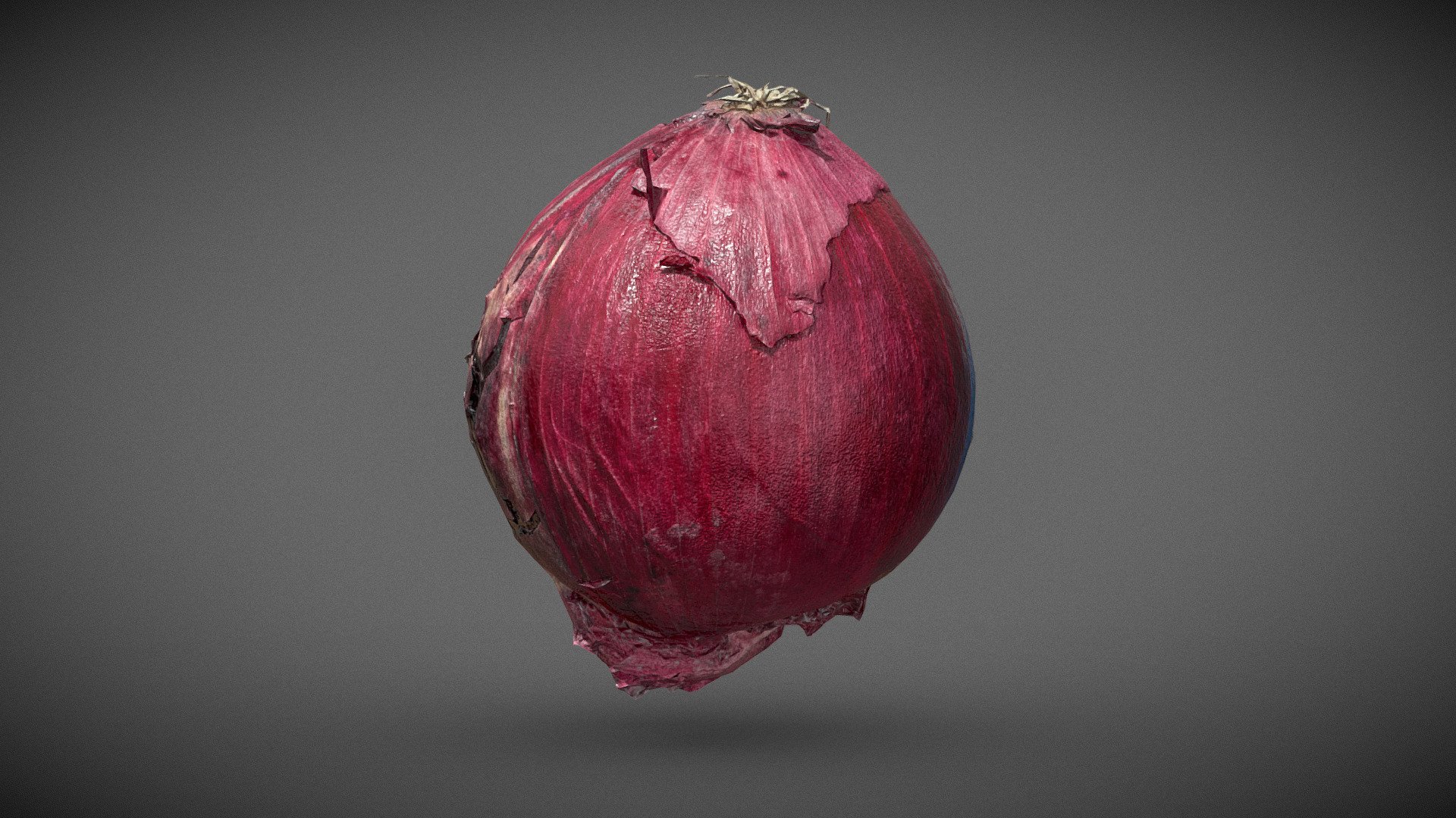 Red Onion - Buy Royalty Free 3D model by 3DSCANFR (sdrn) (@3DSCANFR ...