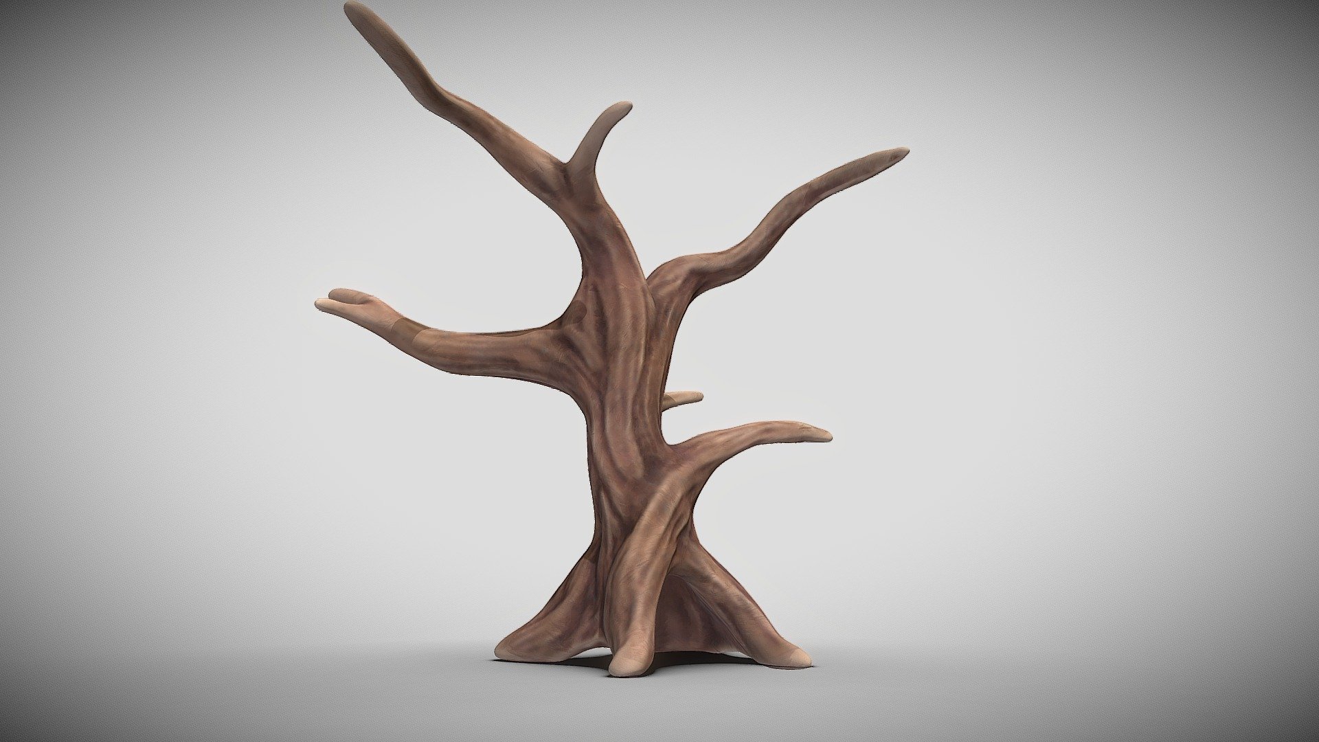 Hollow Tree Trunk - 3D model by Logan Lindsay (@loganlindsay) [17dd8cc ...