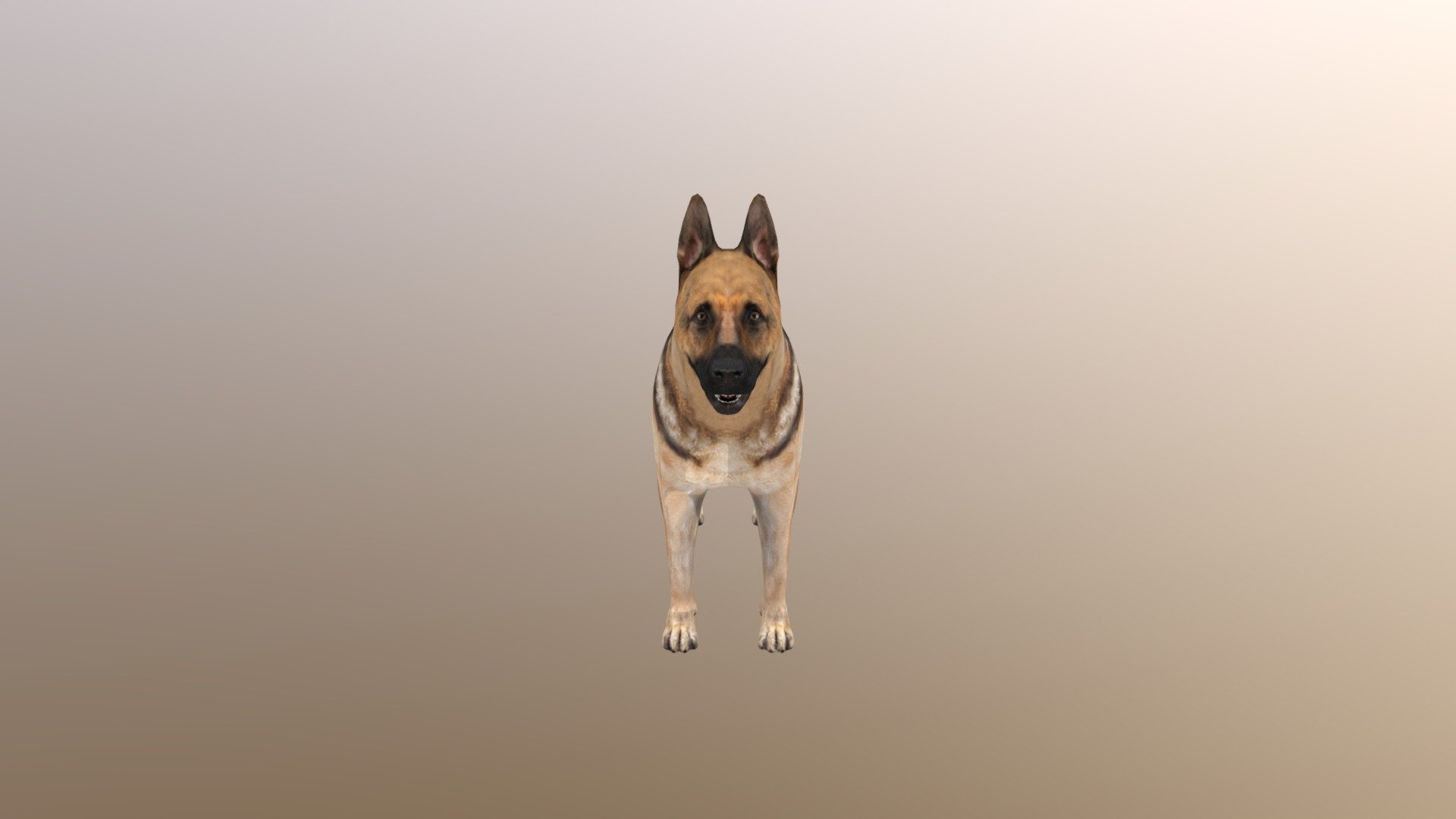 Canino - 3D model by CITec.FCV.UNL (@CITec) [17e2b20] - Sketchfab