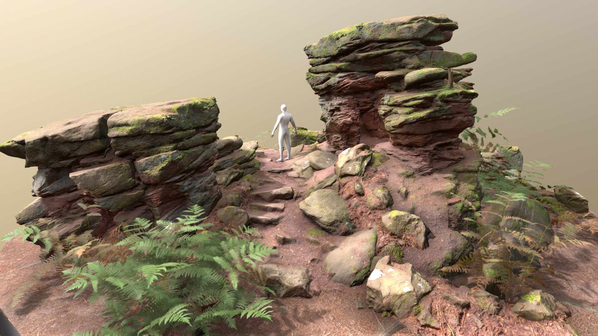 Assembly Sandstone Forest Scenery Fern Scan - 3D model by Per's Scan ...