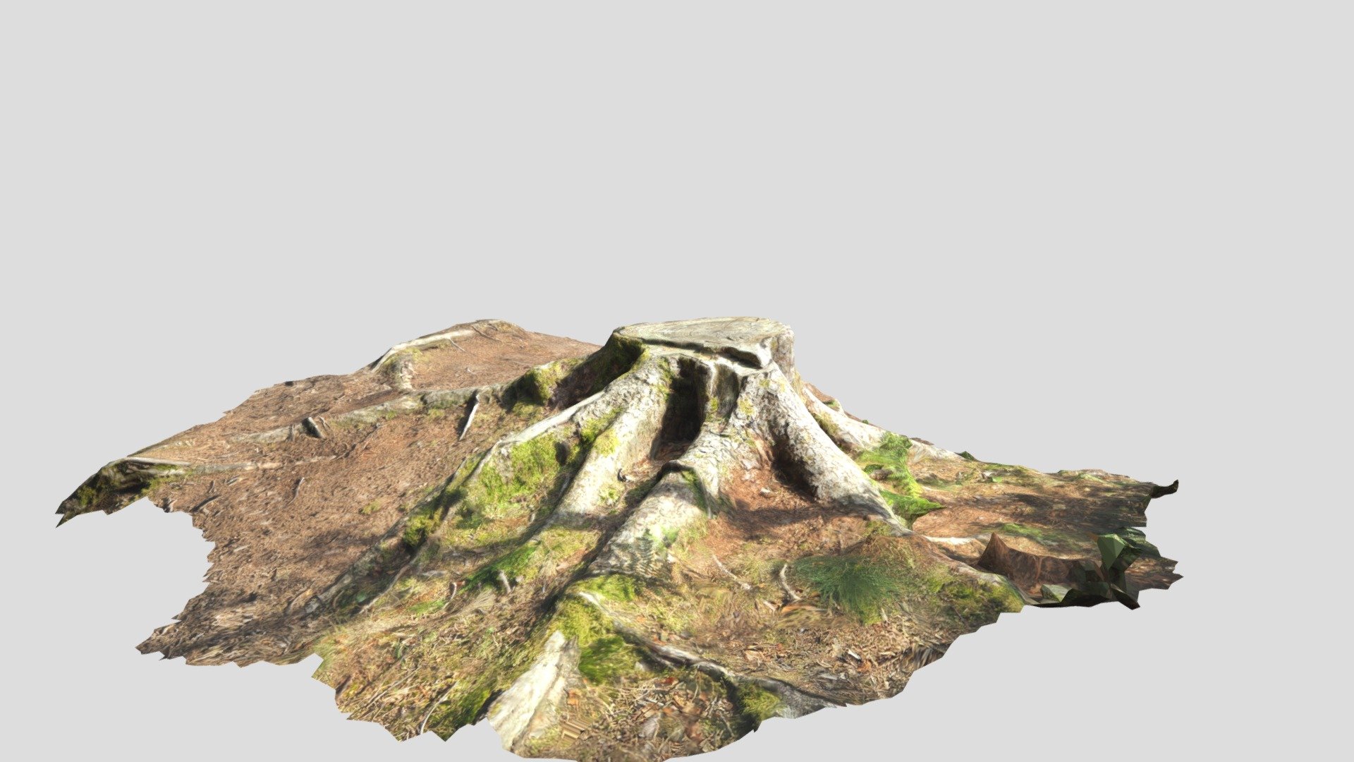 light wood clean cut mossy tree stump - 3D model by jay_m [17e4016 ...
