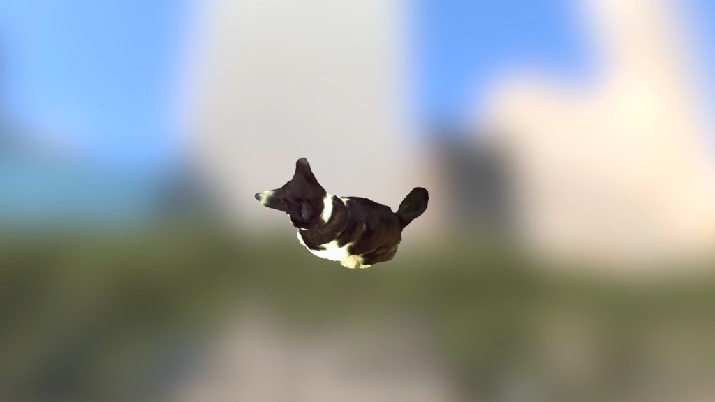 3D-Scan from a dog after post production - 3D model by Günther 3D ...