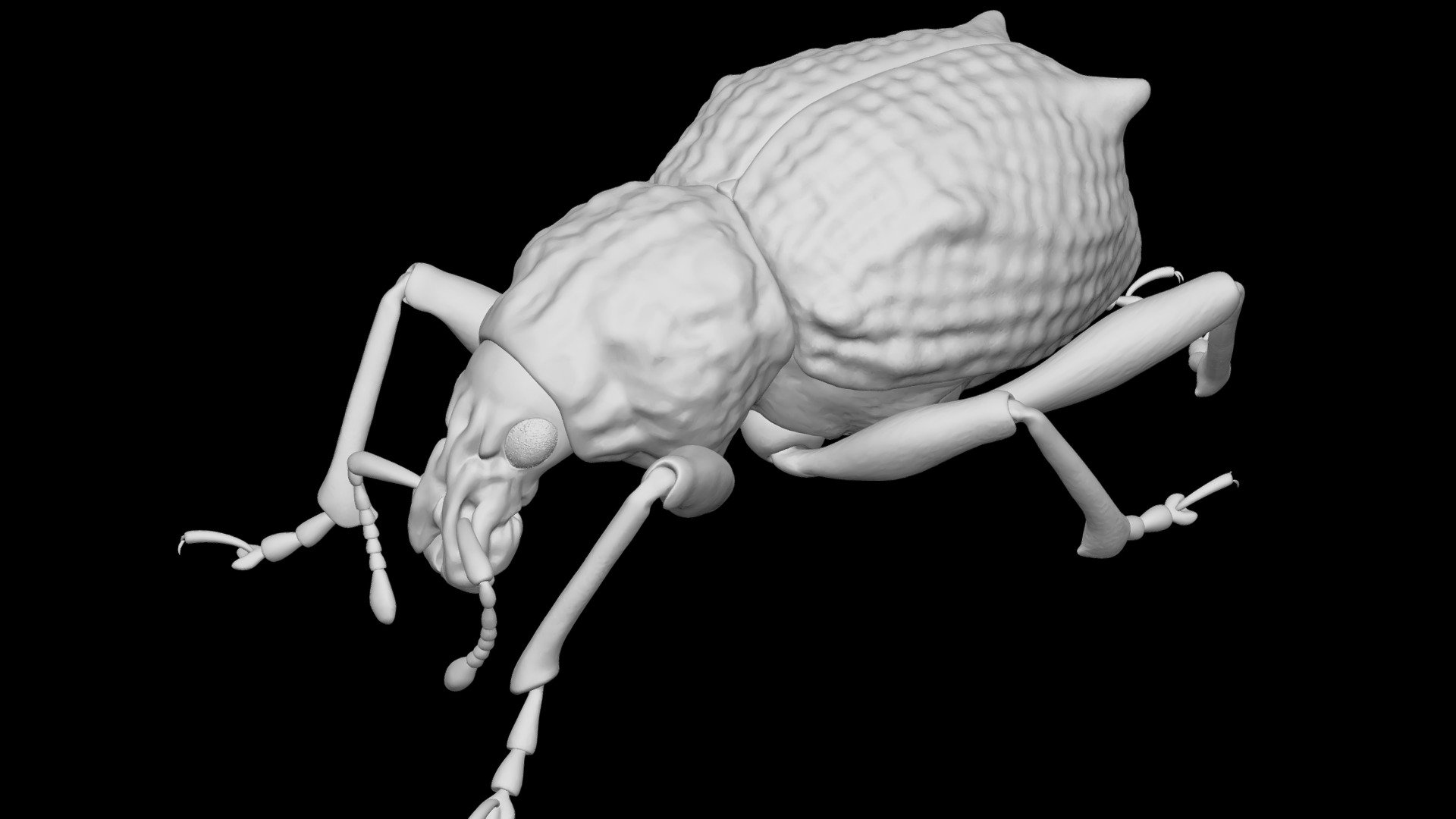 Episomus Turritus - Download Free 3D model by tunosemi [17e98dc ...