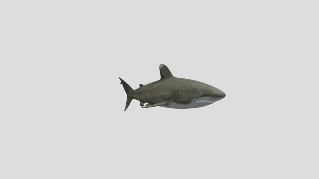 Sea animals - A 3D model collection by gimyujun392 - Sketchfab