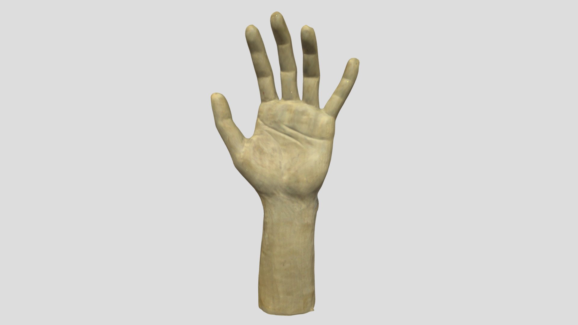 Etude de la main - 3D model by pattarrian [17fbc31] - Sketchfab