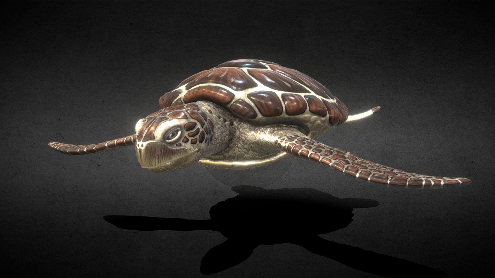 Green Sea Turtle - Buy Royalty Free 3D model by Exmoor beast ...