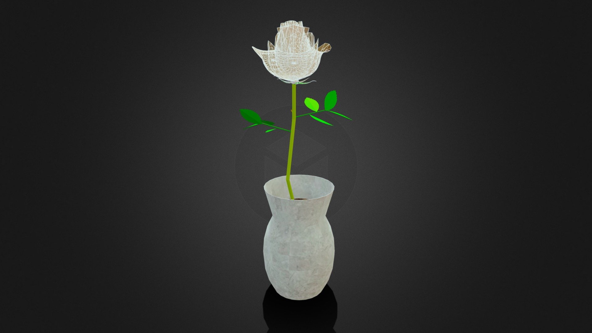 Single White Rose - Download Free 3D model by shirlanne [17fe1a8 ...