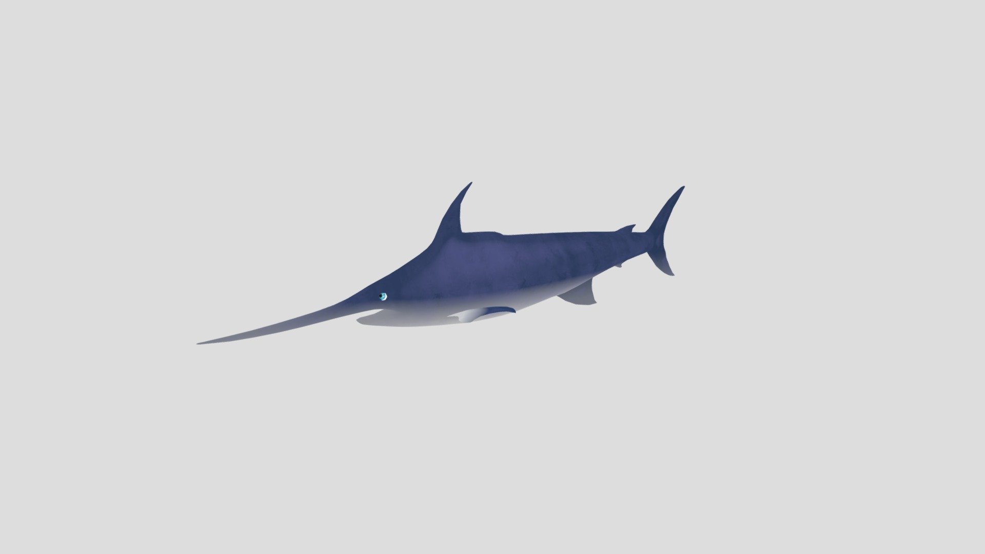 Sword Fish - 3D model by arnenzo [17ffda0] - Sketchfab