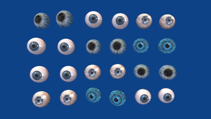 Eye-anatomy 3D models - Sketchfab