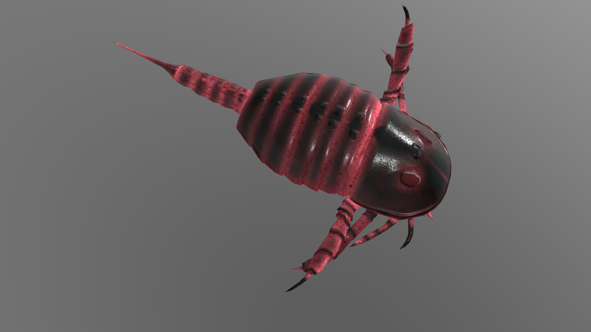 Alkenopterus brevitelson - Buy Royalty Free 3D model by Paleobiome ...