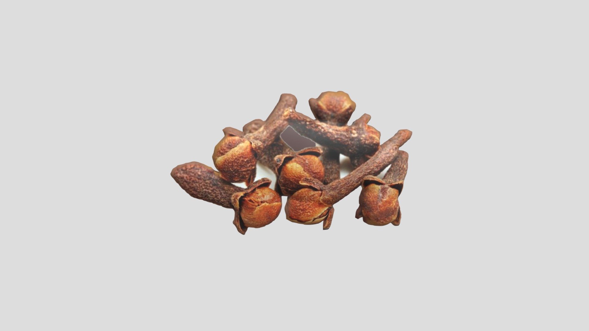 Cengkeh - Download Free 3D model by f1122211005 [180ac2c] - Sketchfab