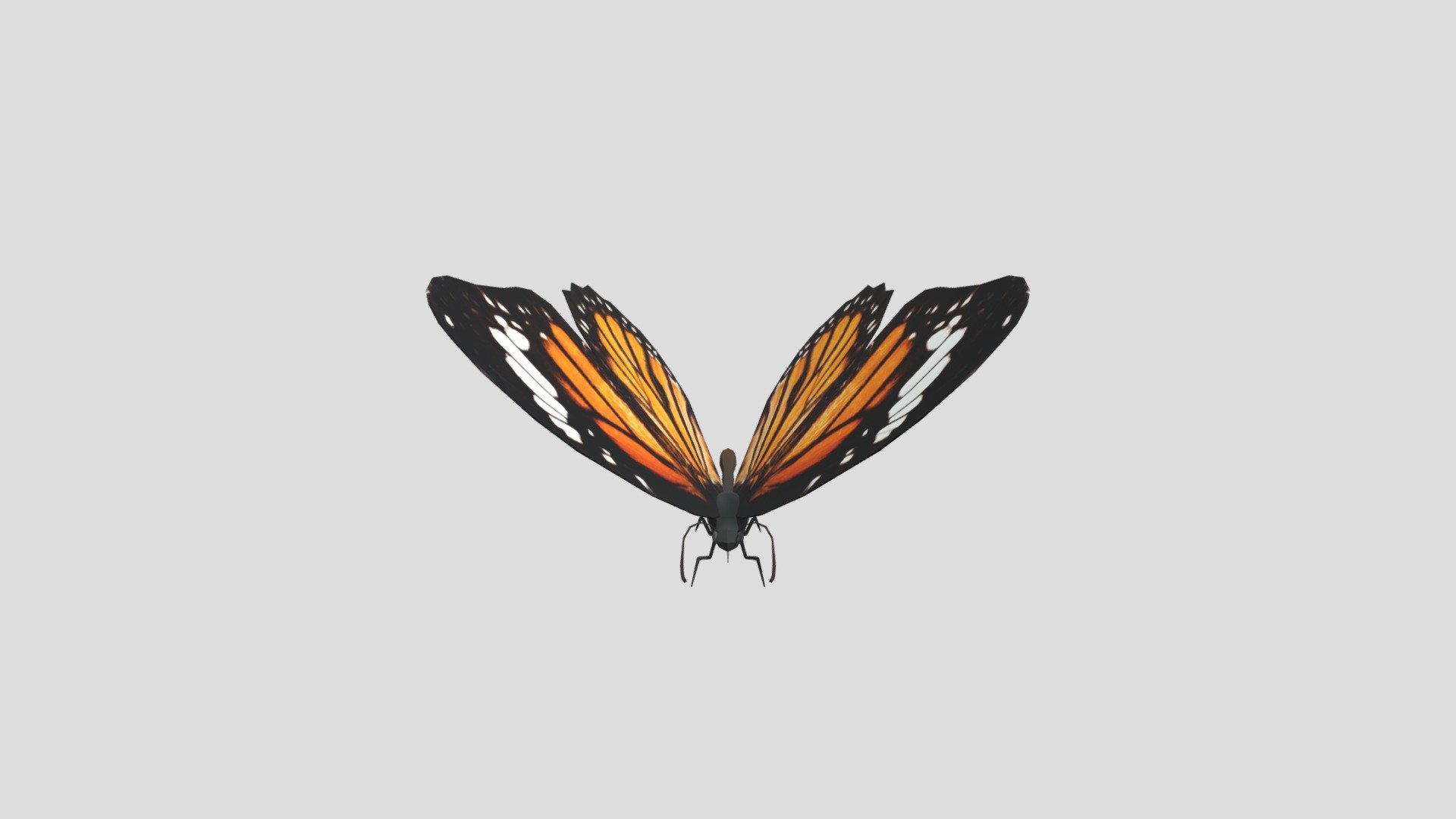 Butterfly - Download Free 3D model by neutralize (say thanks ...