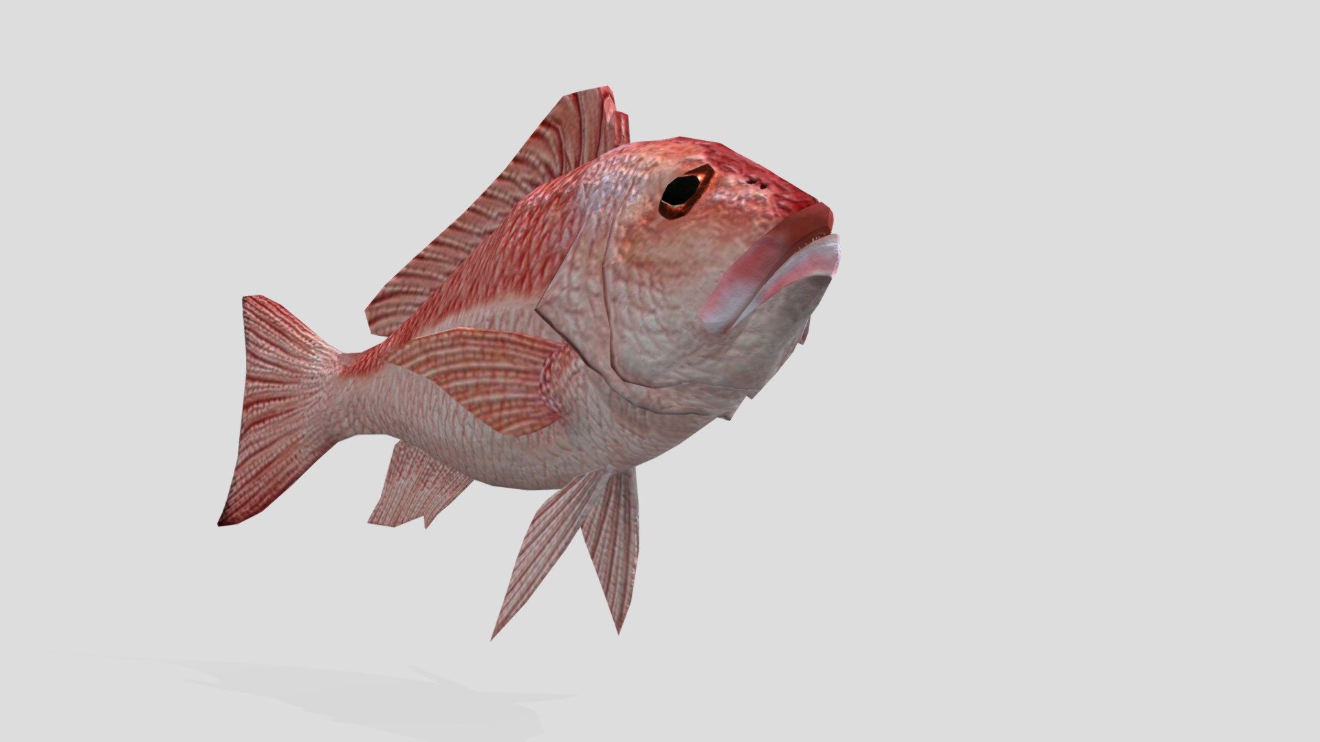 Red Snapper - 3D model by Freyasi [1817496] - Sketchfab