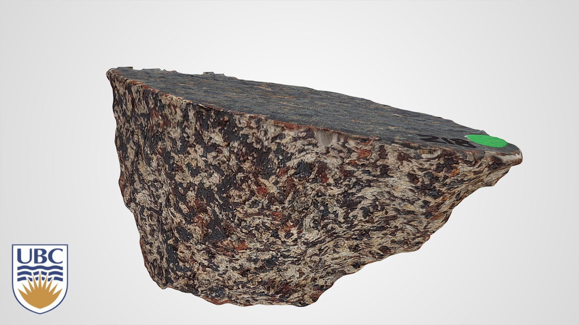 Skaergaard intrusion UZc (SEB87-218) - 3D model by Nichole Moerhuis ...