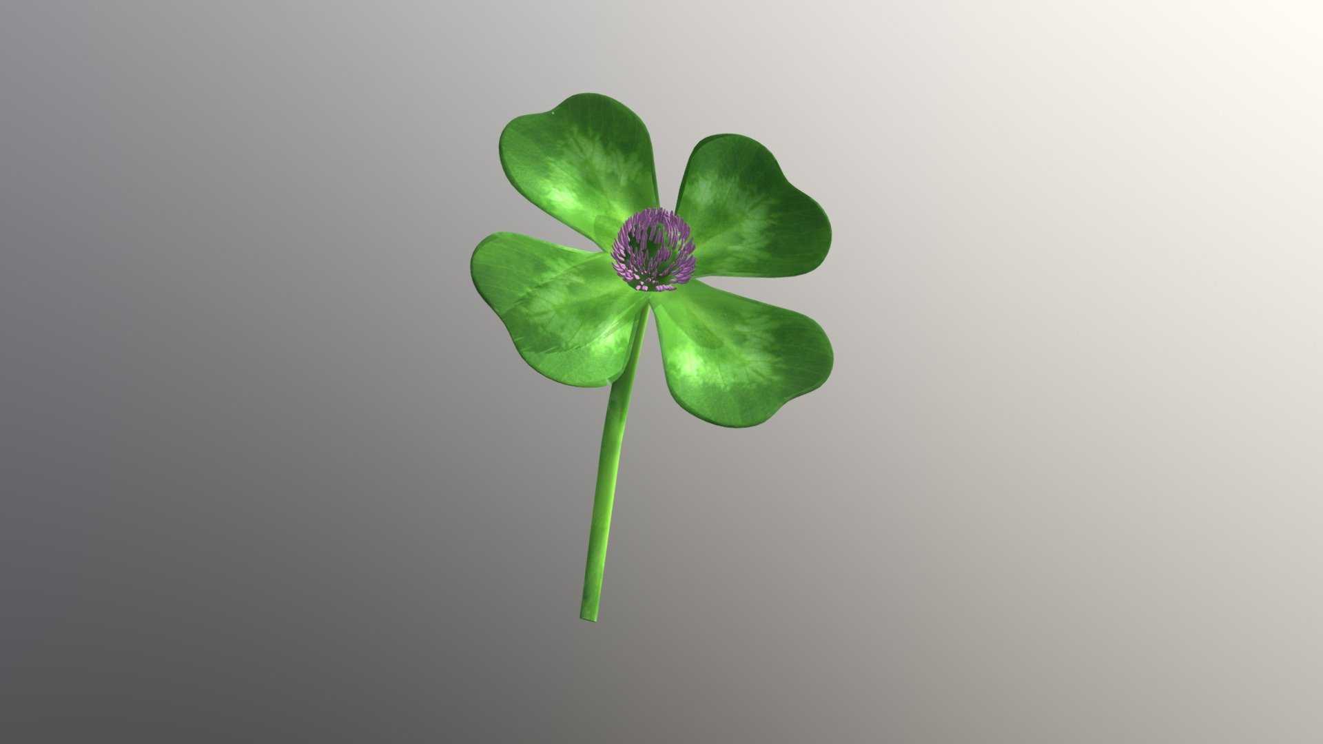 4 Leaf Clover - Buy Royalty Free 3D model by uncle808us [182c4b8 ...