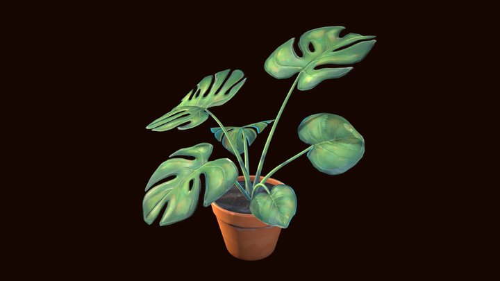 Monstera 3D models - Sketchfab