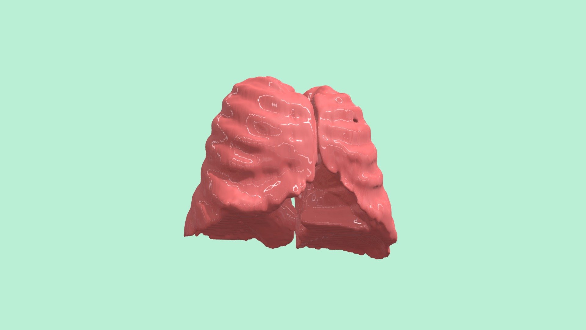 Segmentation_Lungs - 3D model by JamilaA [1835e13] - Sketchfab